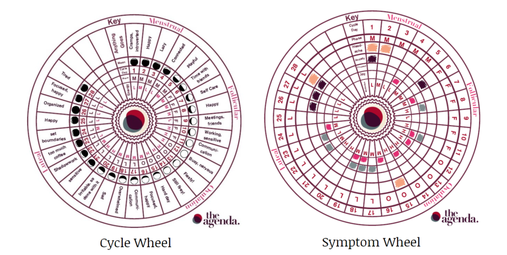 Daily Menstrual Cycle Tracking The Agenda Daily Menstrual Cycle Tracking The Agenda