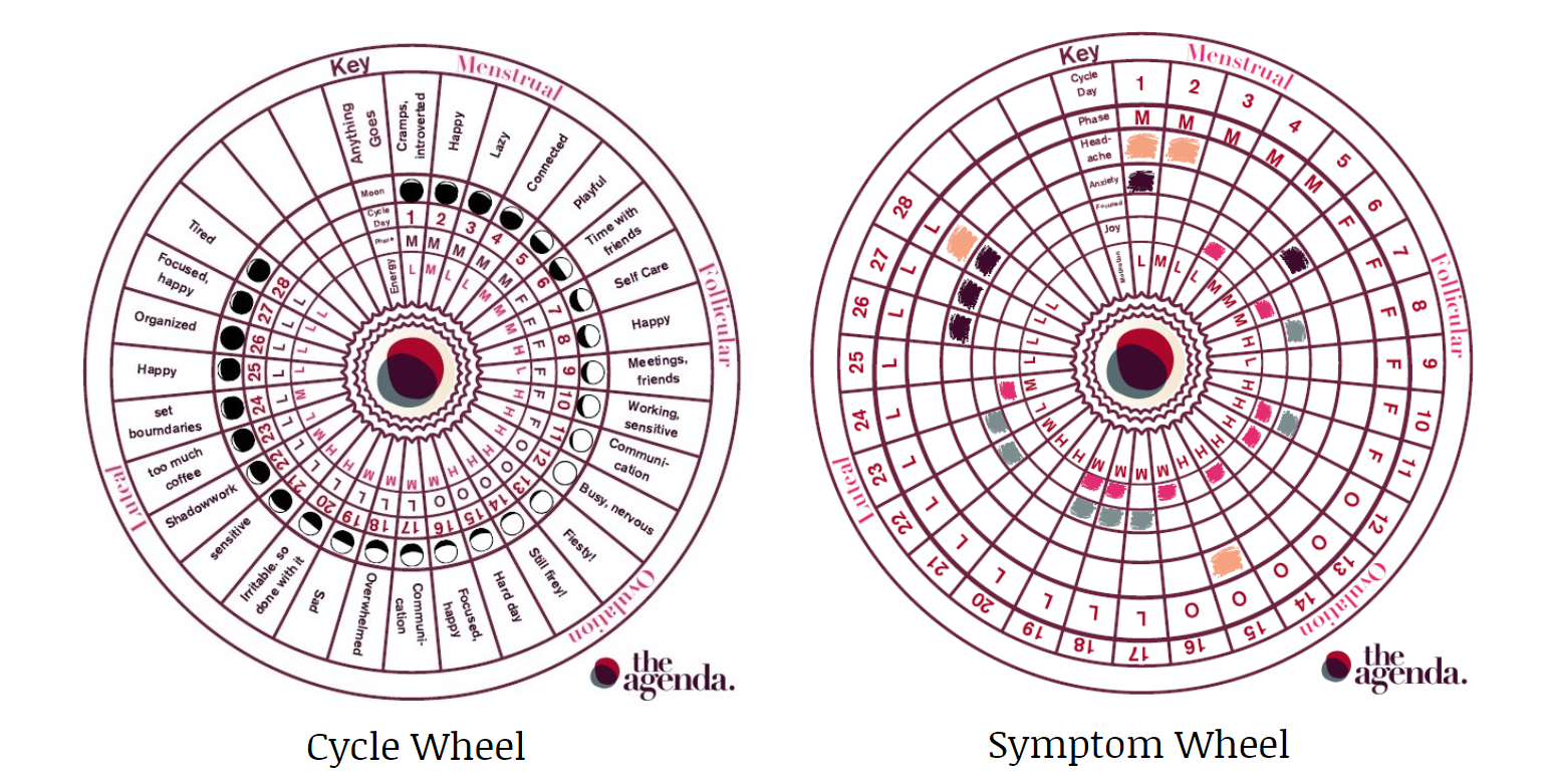 Daily Menstrual Cycle Tracking The Agenda